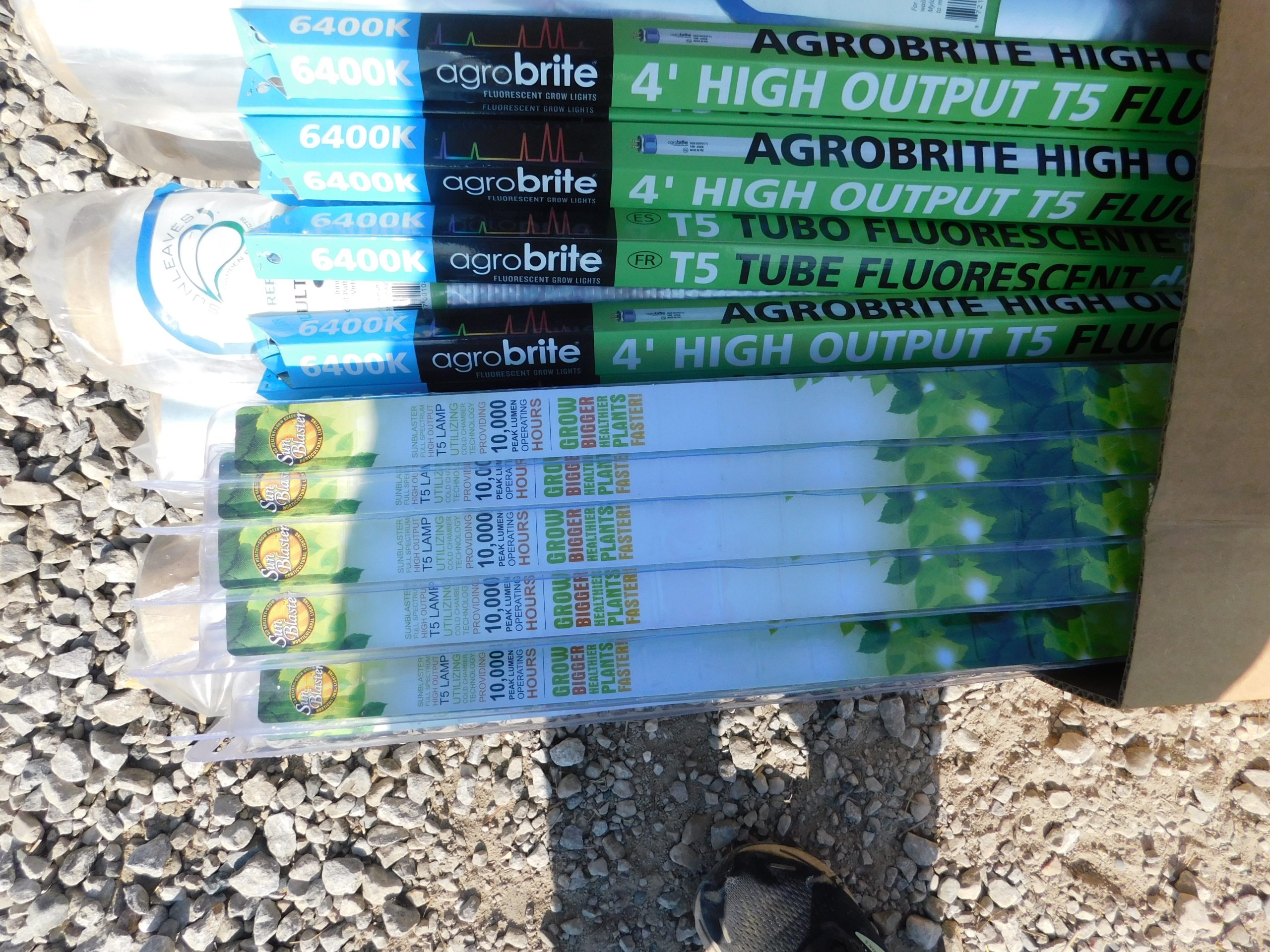 Live Auctions | Geyer Farm & Auction Service