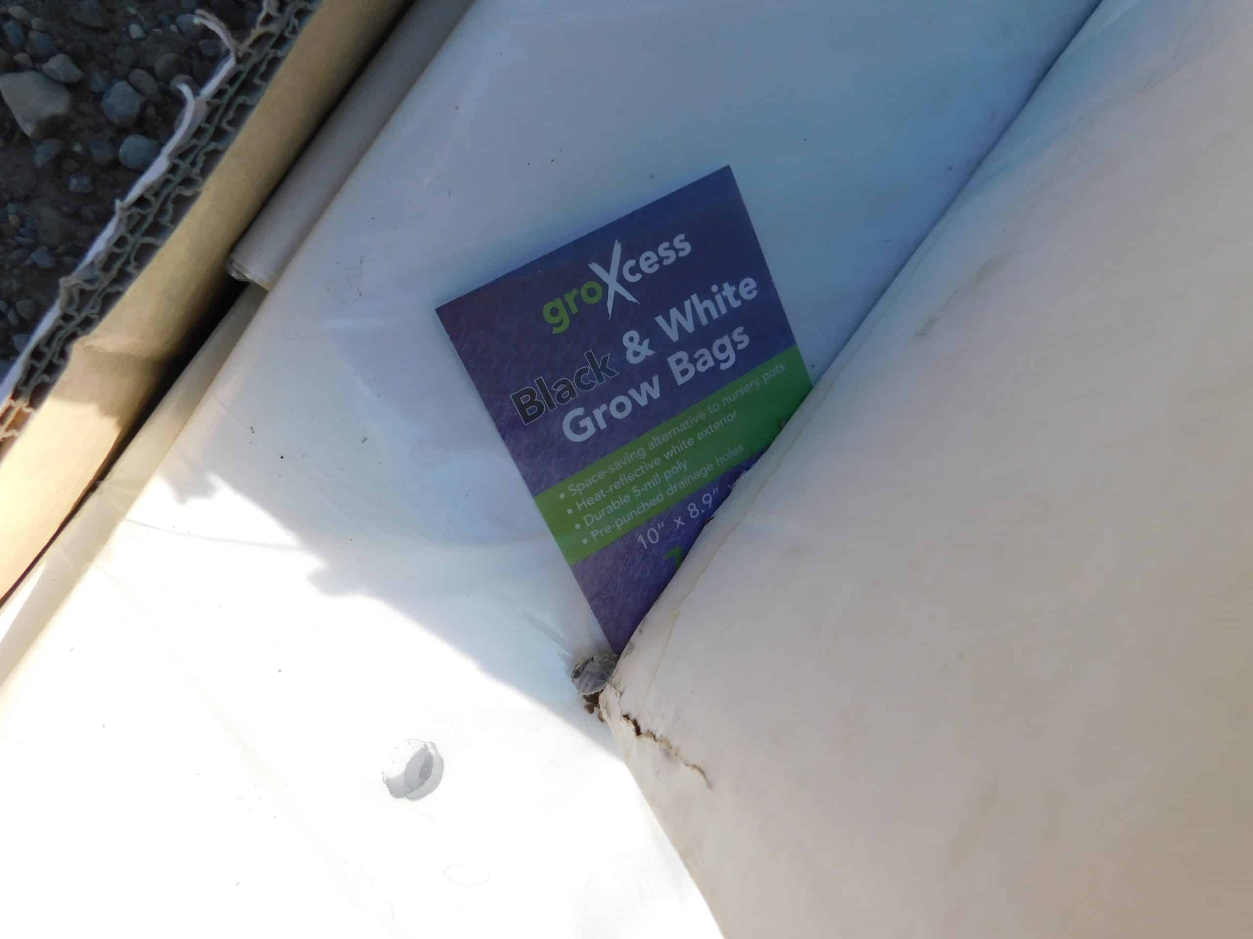 Live Auctions | Geyer Farm & Auction Service