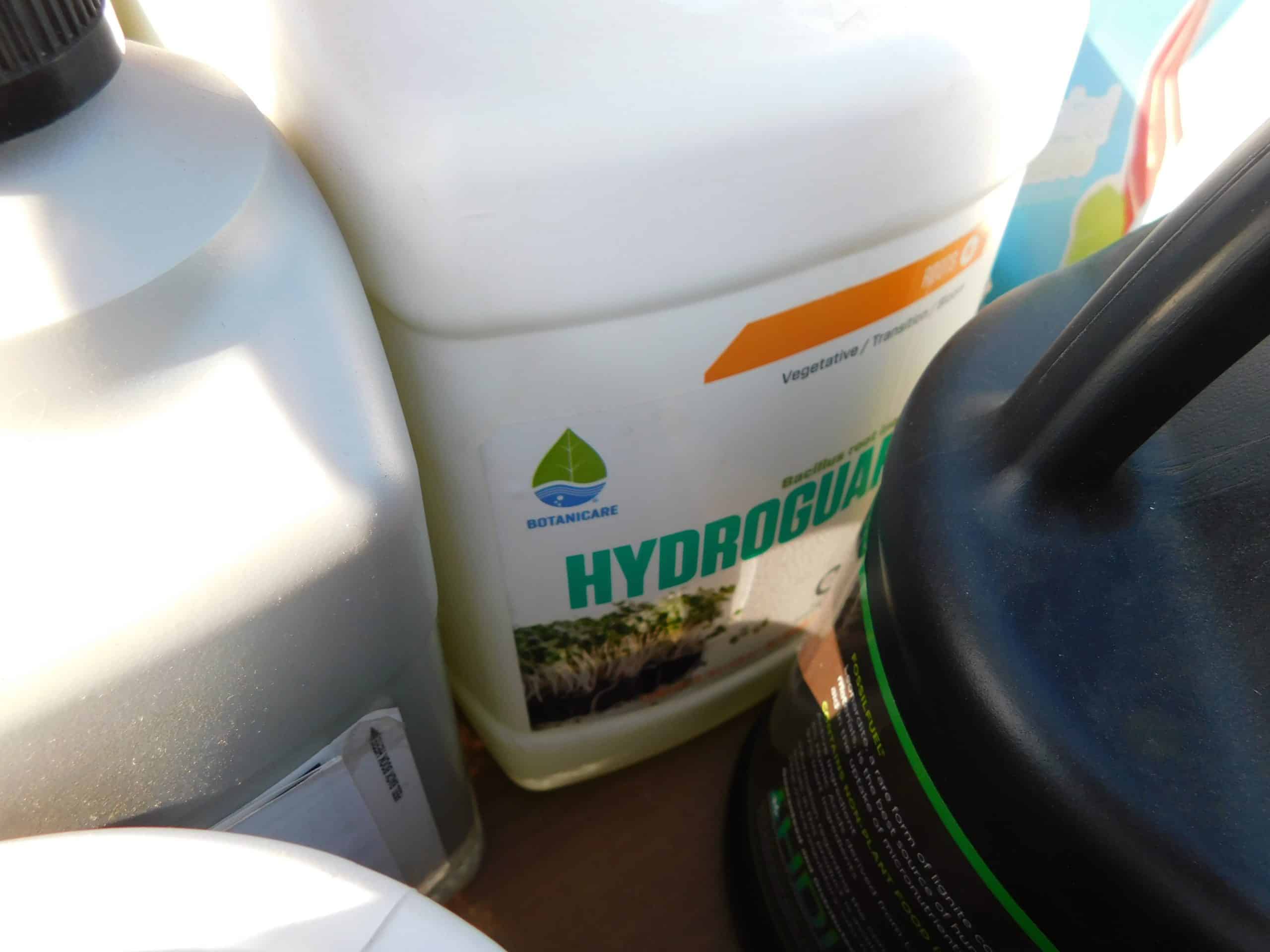 Live Auctions | Geyer Farm & Auction Service