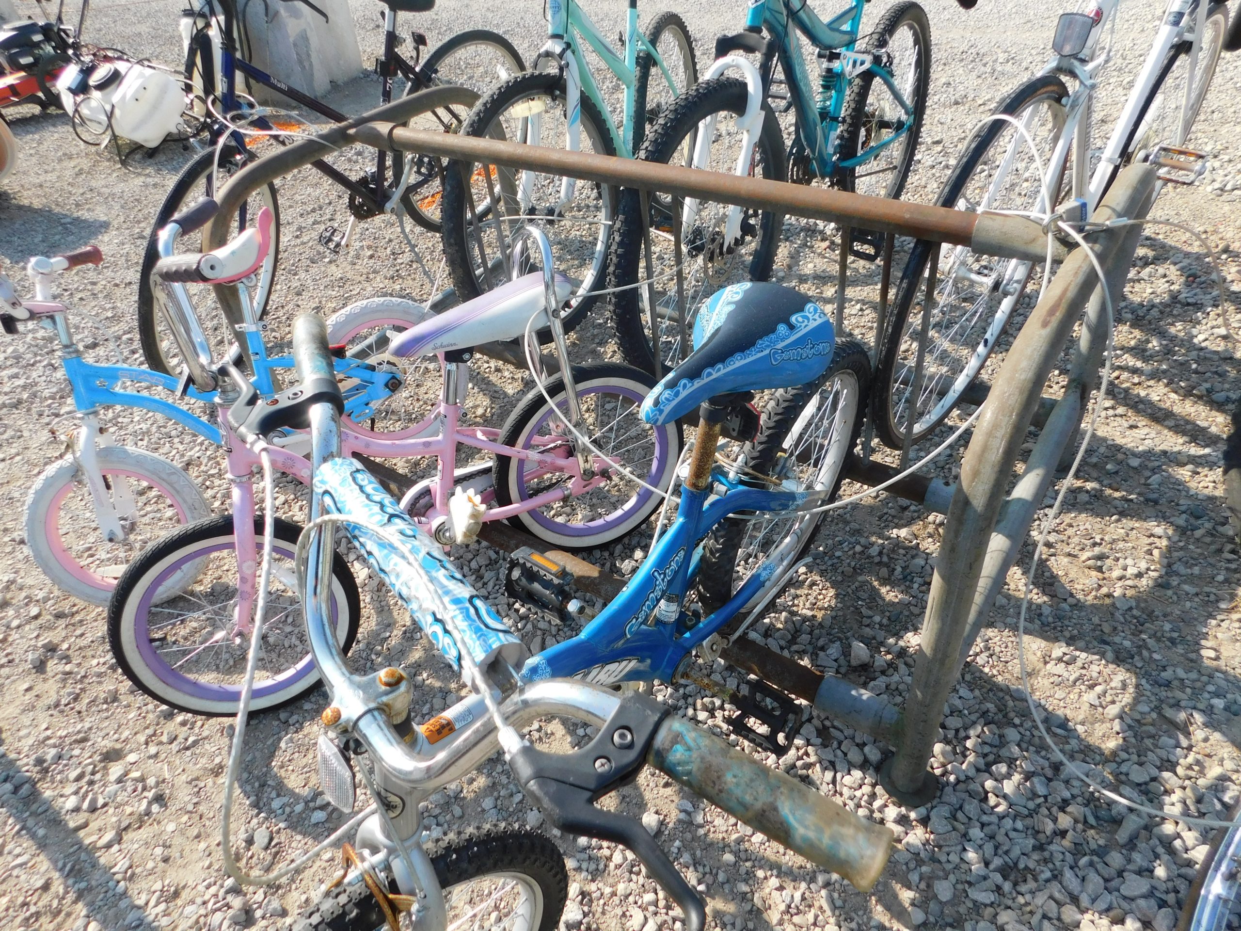 Live Auctions | Geyer Farm & Auction Service