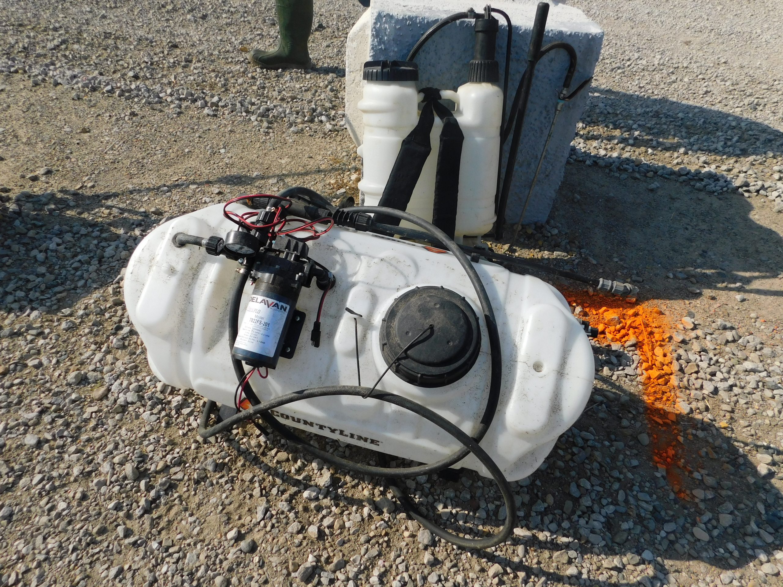 Live Auctions | Geyer Farm & Auction Service